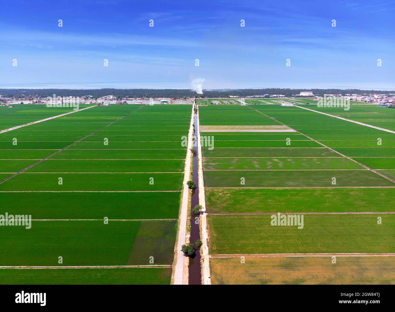 Beautiful Aerial View Of Green Paddy Field Stock Photo - Alamy