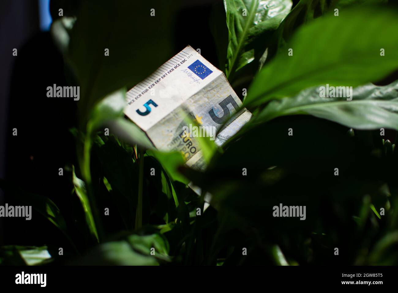 Green euro flag hi-res stock photography and images - Alamy