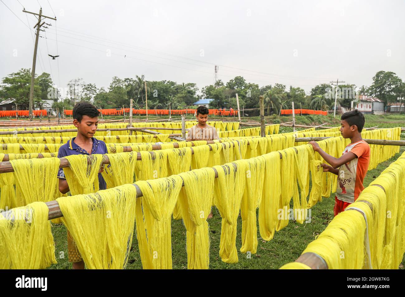 Yarn coloring and drying Stock Photo - Alamy