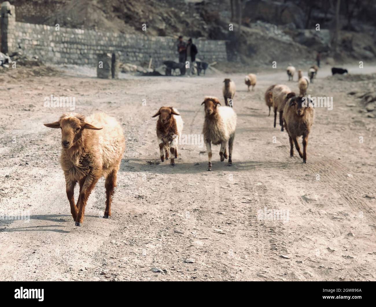 Needs sunlight hi-res stock photography and images - Alamy