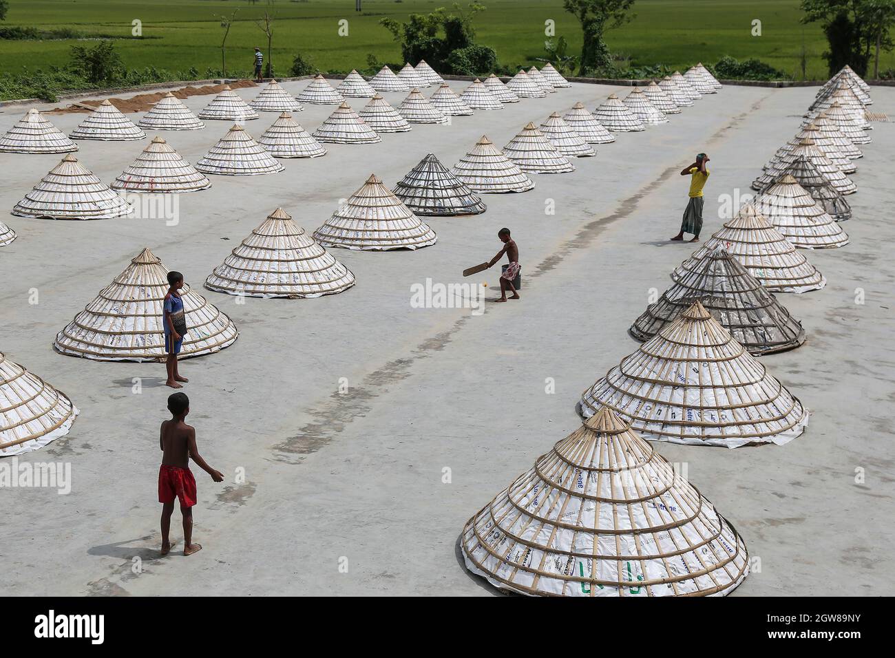 Paddydryingprocess hi-res stock photography and images - Alamy