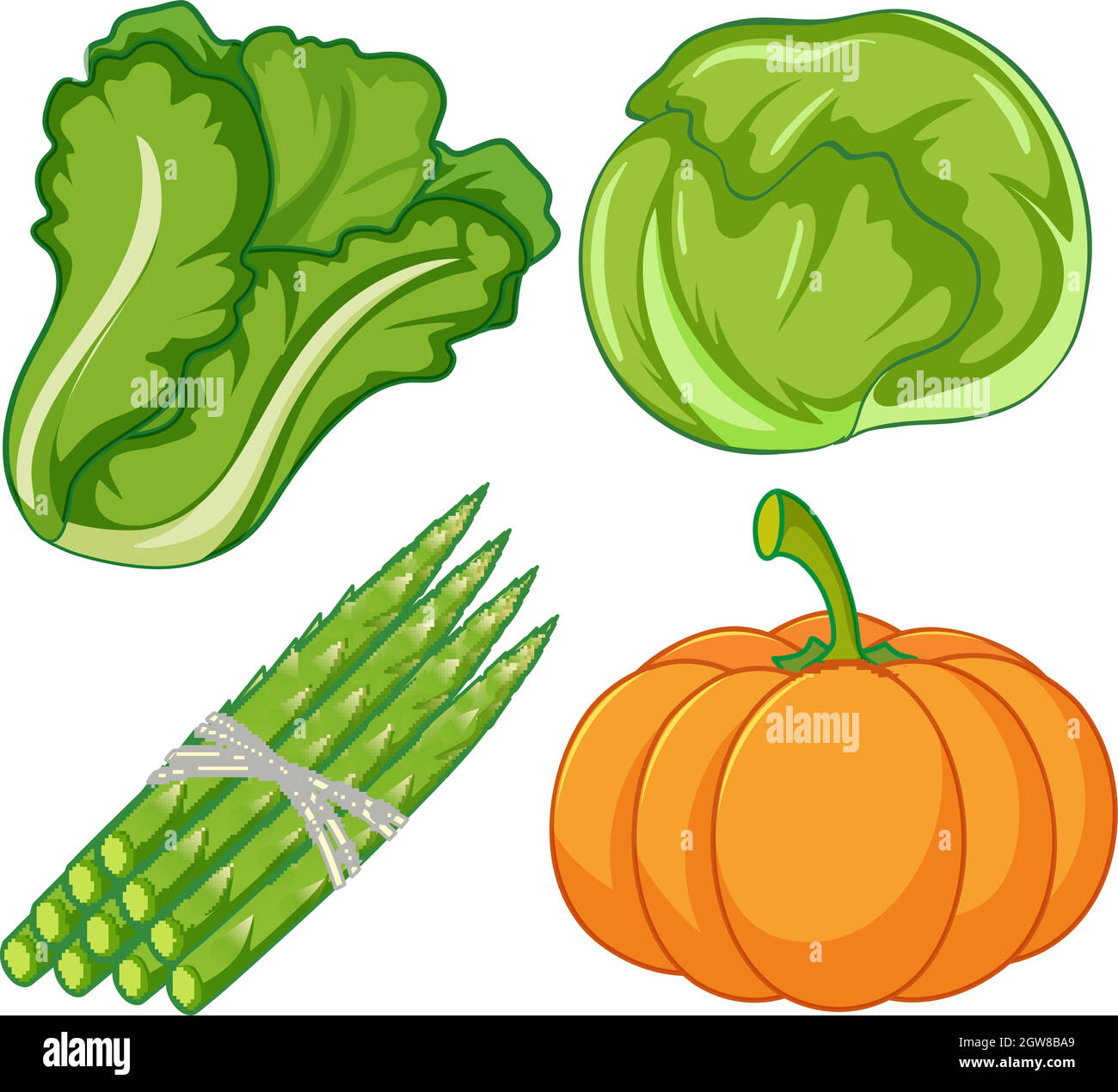 Four types of vegetables on white background Stock Vector Image & Art ...