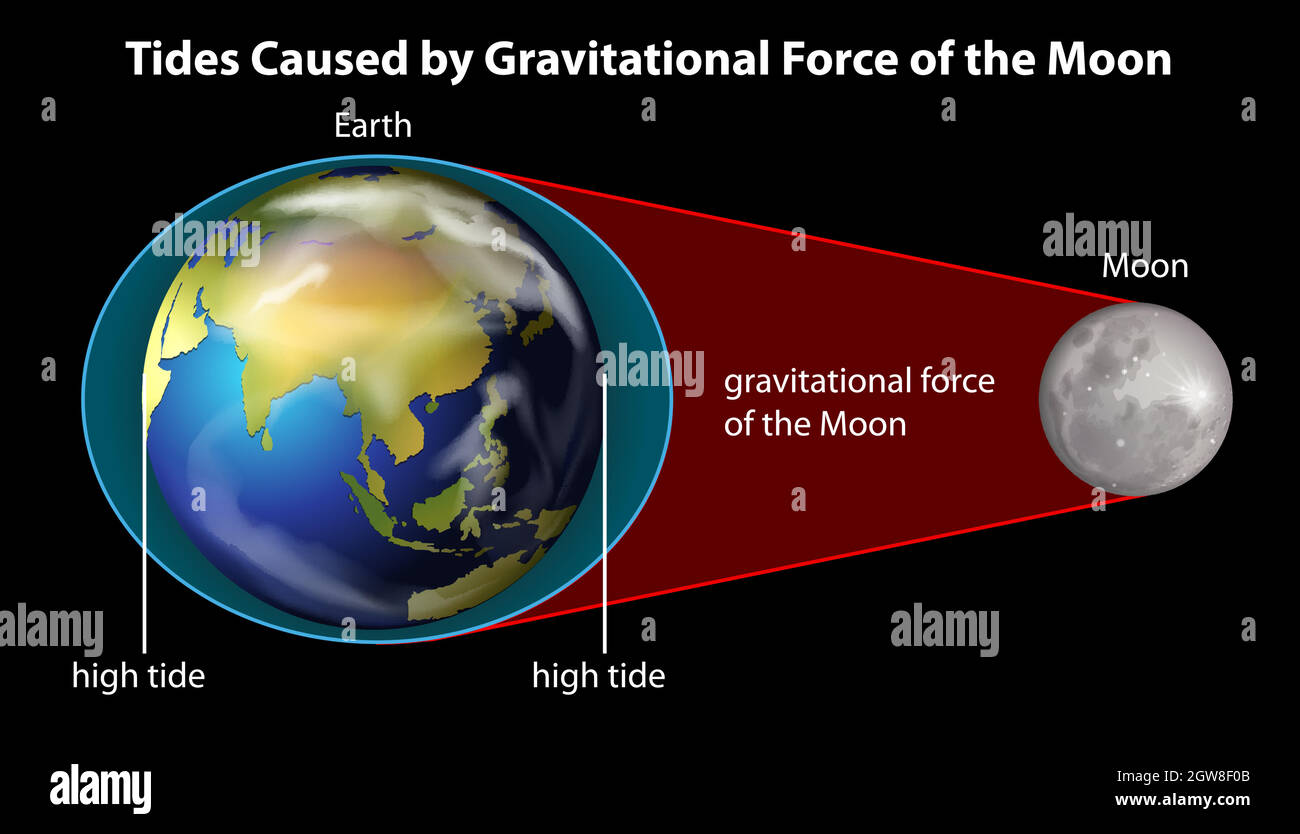 Tide And Moon Aligned In June