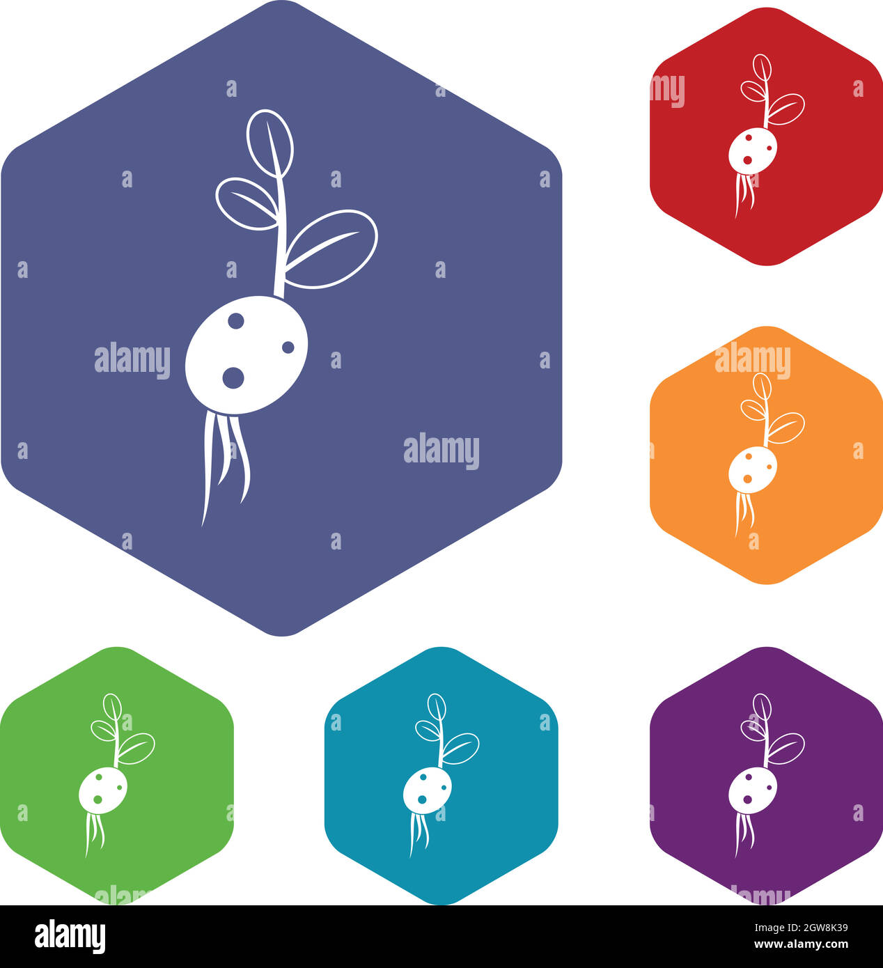 Vegetable Food Potato Potato Sprout High Resolution Stock Photography ...