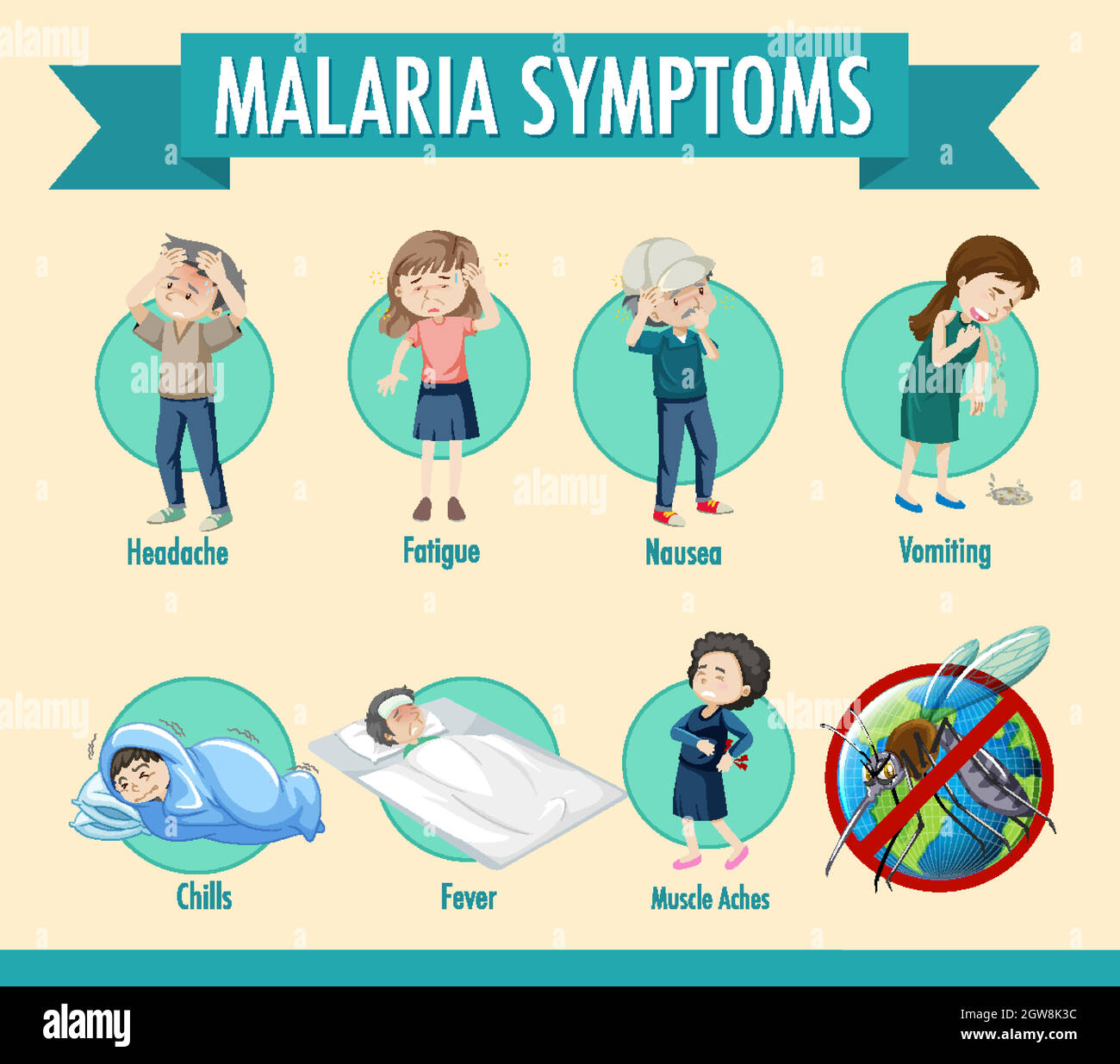 Malaria transmission cycle and symptom information infographic Stock ...