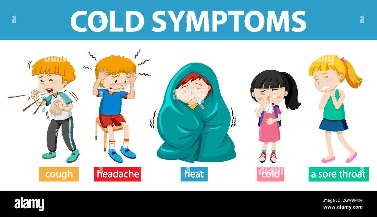 Medical infographic of cold symptoms Stock Vector Image & Art - Alamy