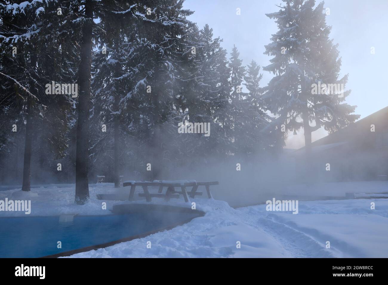 Ice swiming hi-res stock photography and images - Alamy