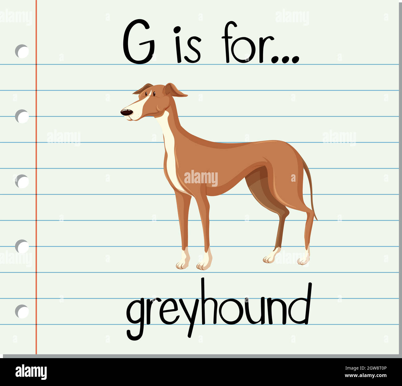 Young greyhound Stock Vector Images - Alamy