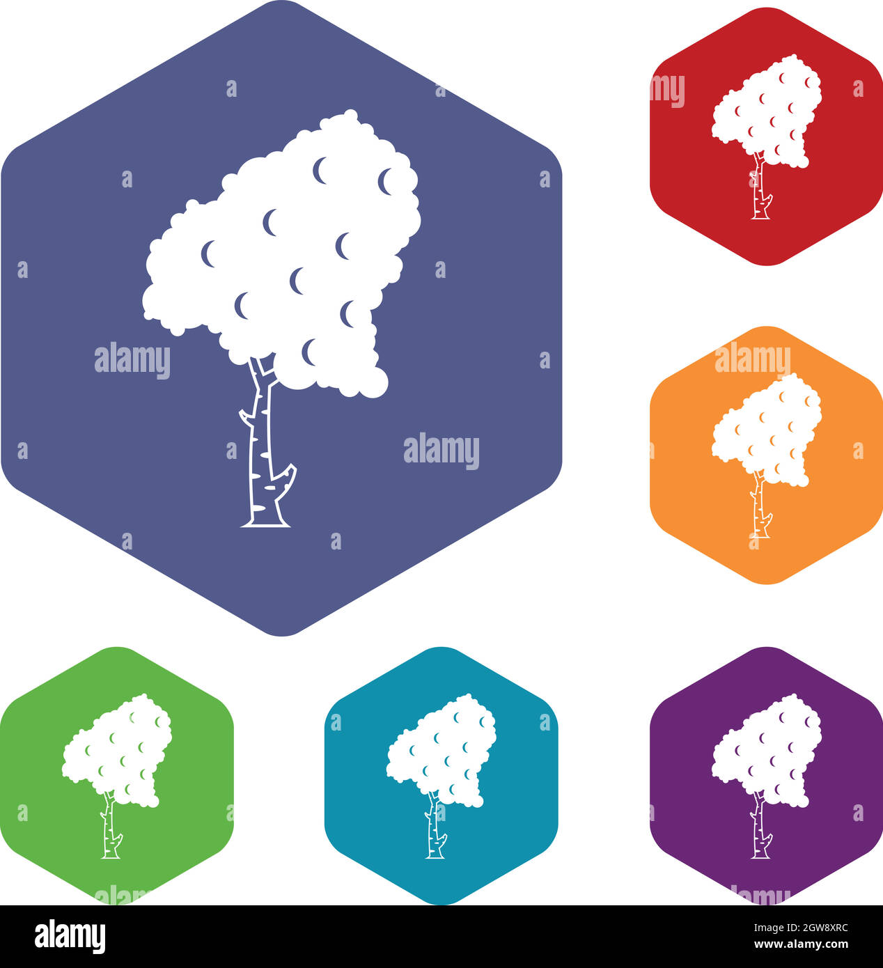 Birch icons set Stock Vector Image & Art - Alamy