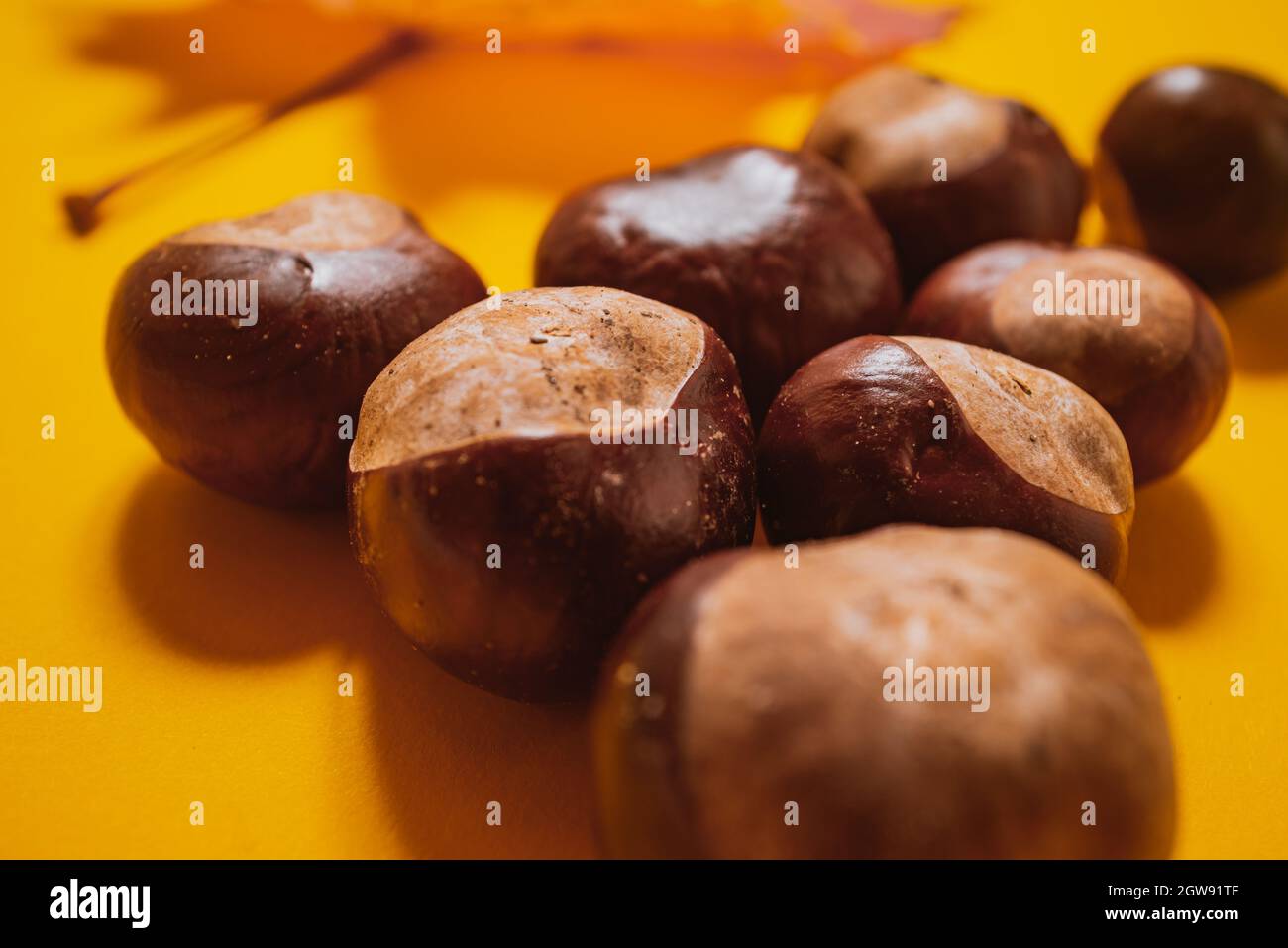 Chestnut Balls High Resolution Stock Photography and Images - Alamy