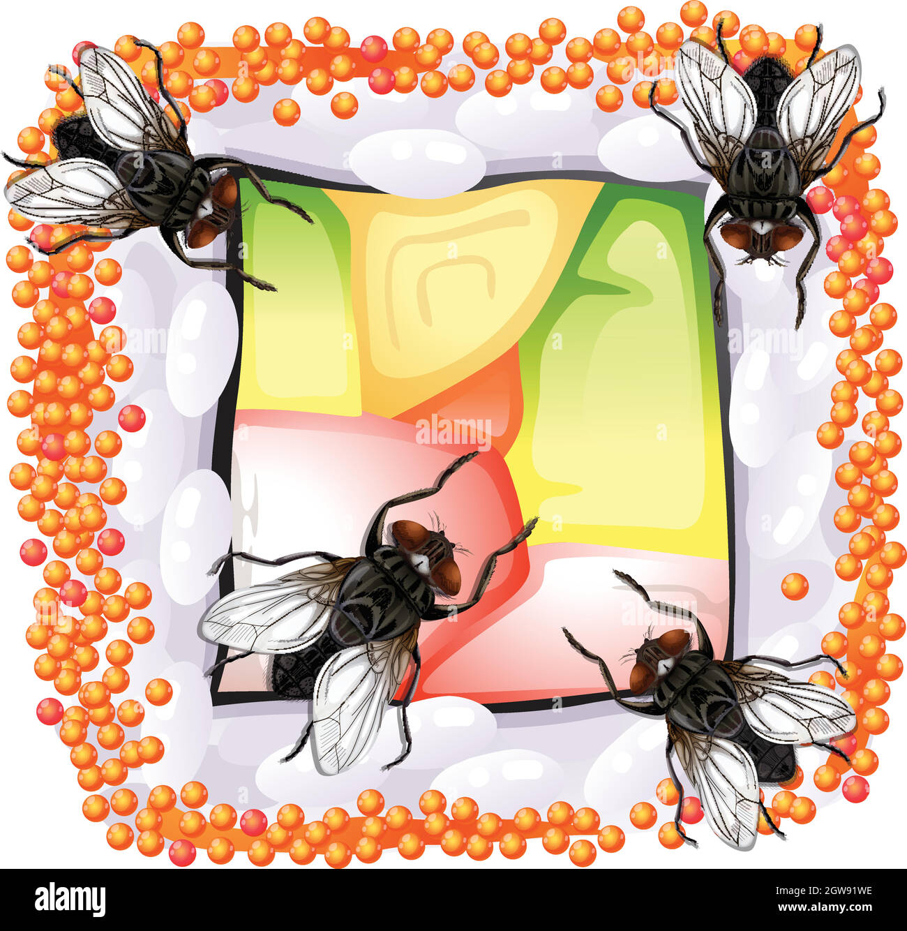 Flies eating sushi roll Stock Vector Image & Art - Alamy