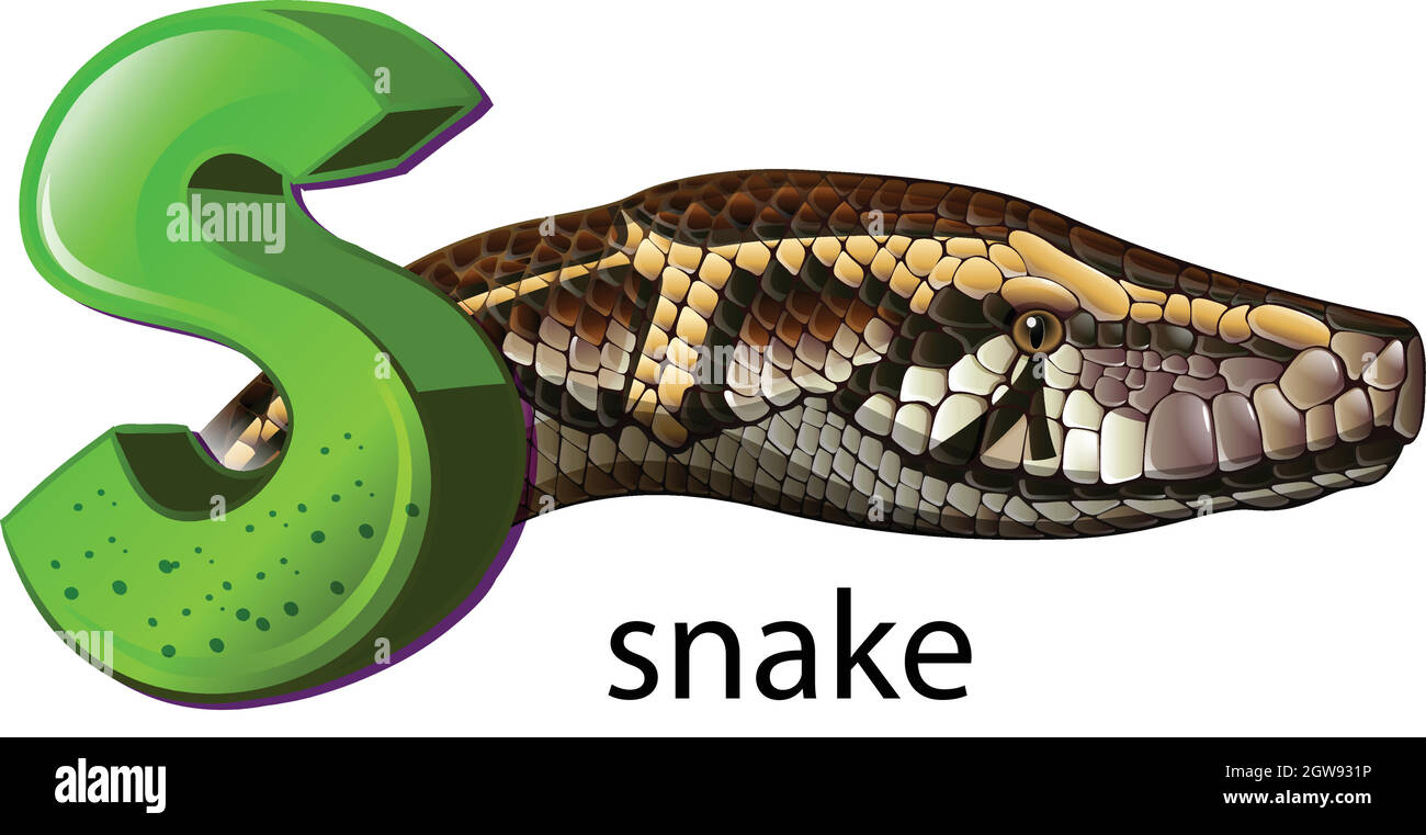Python Letters Clipart Python Letters Clipart