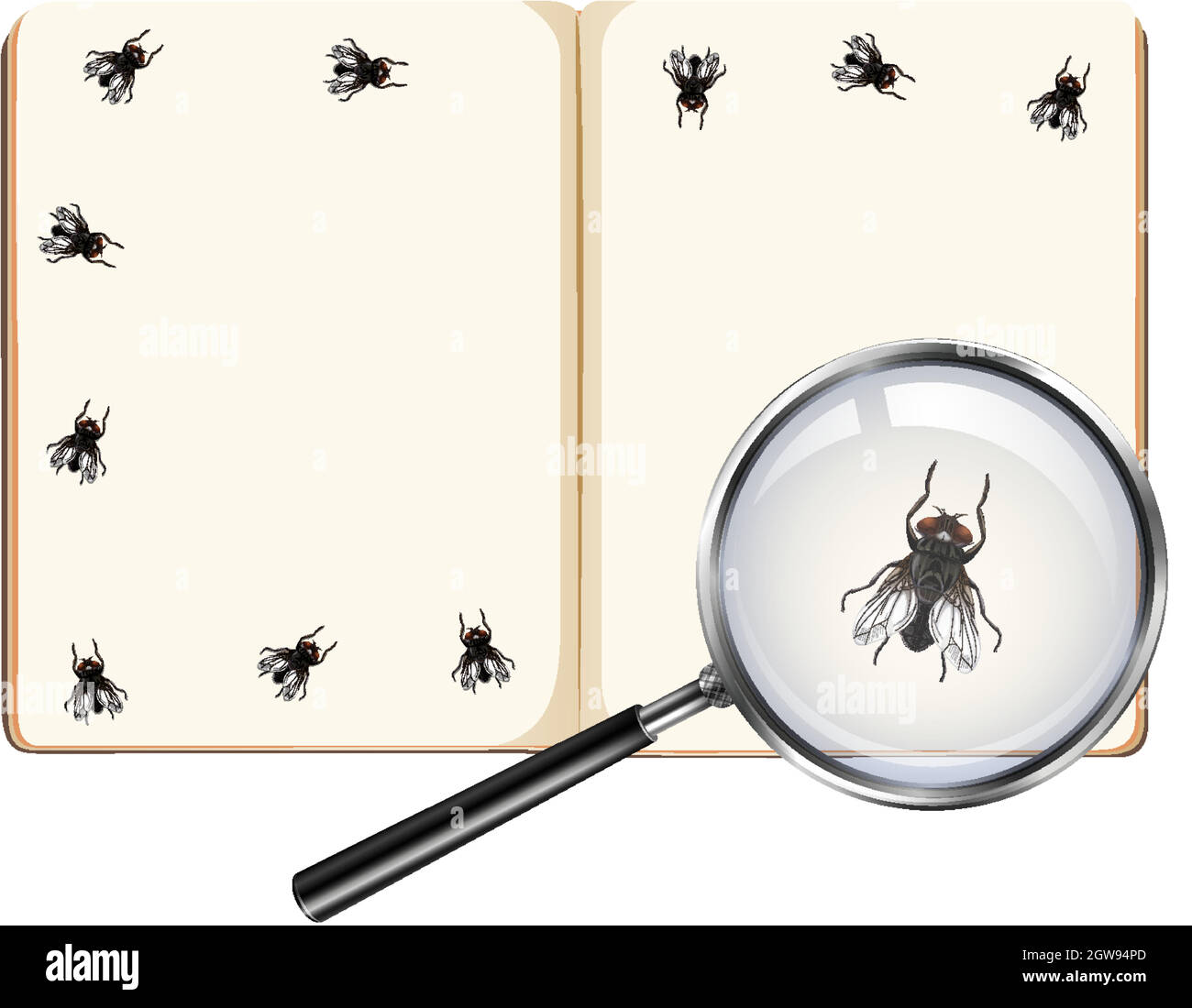 Fly insects on blank book pages with magnifying glass isolated on white ...