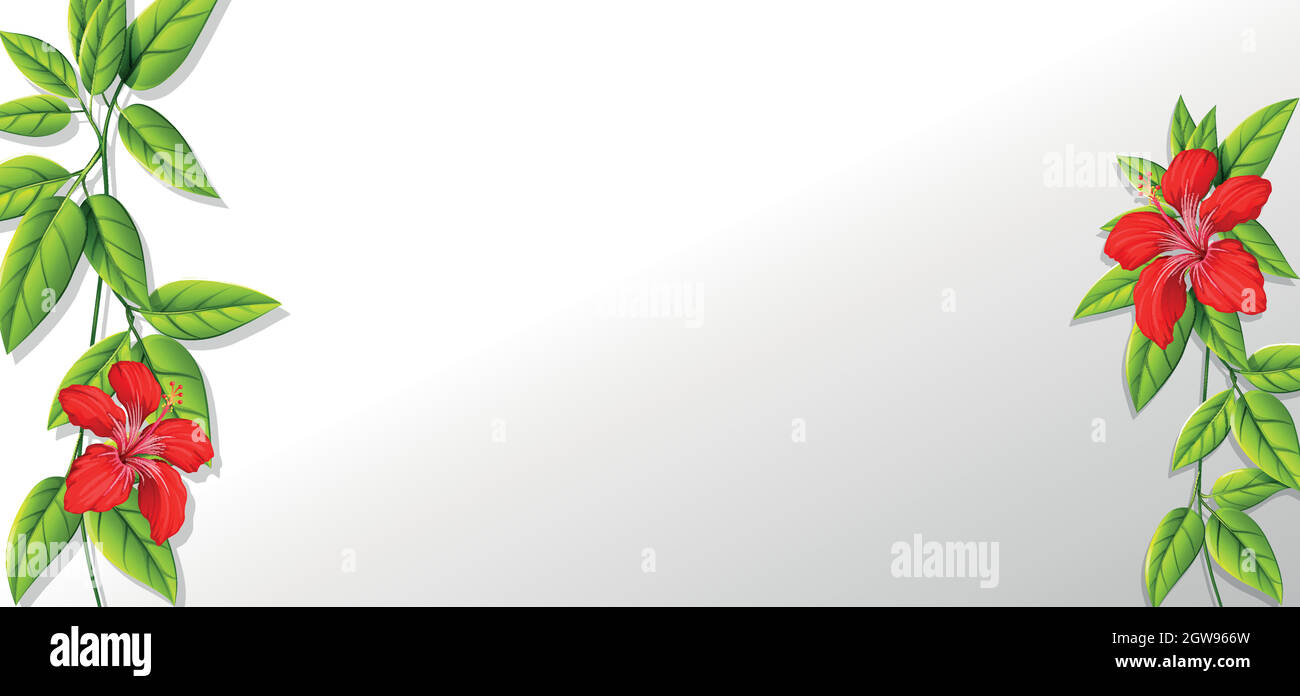 Hibiscus nature flower frame Stock Vector Image & Art - Alamy