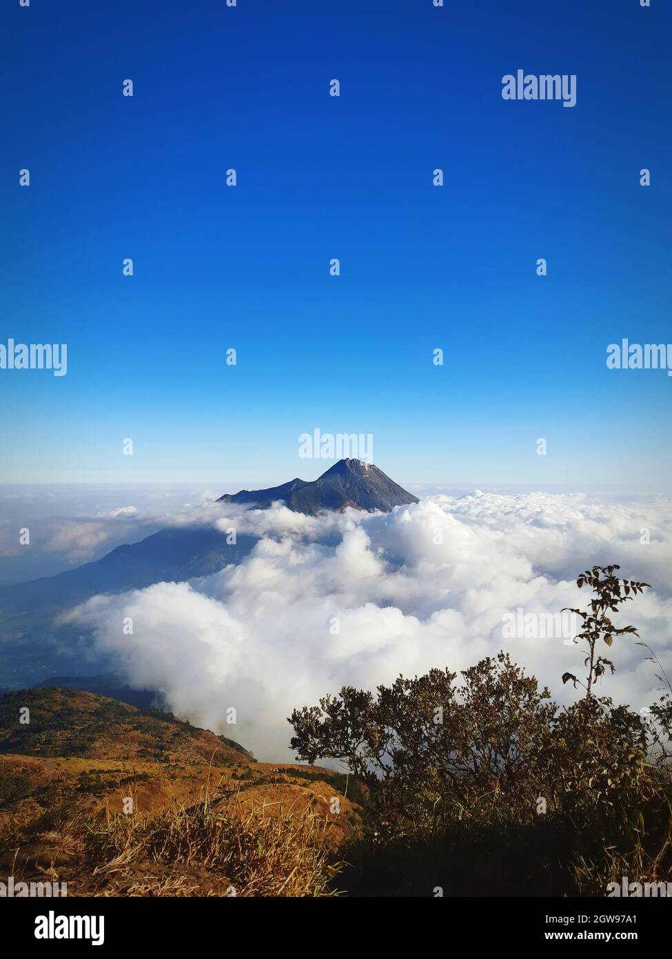 Merapi national park hi-res stock photography and images - Alamy