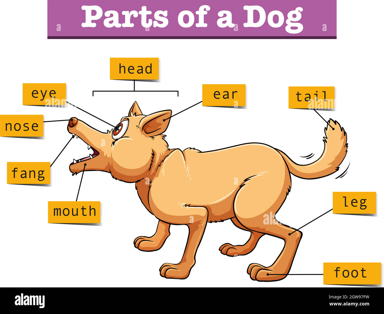 Illustrated domestic Stock Vector Images - Alamy