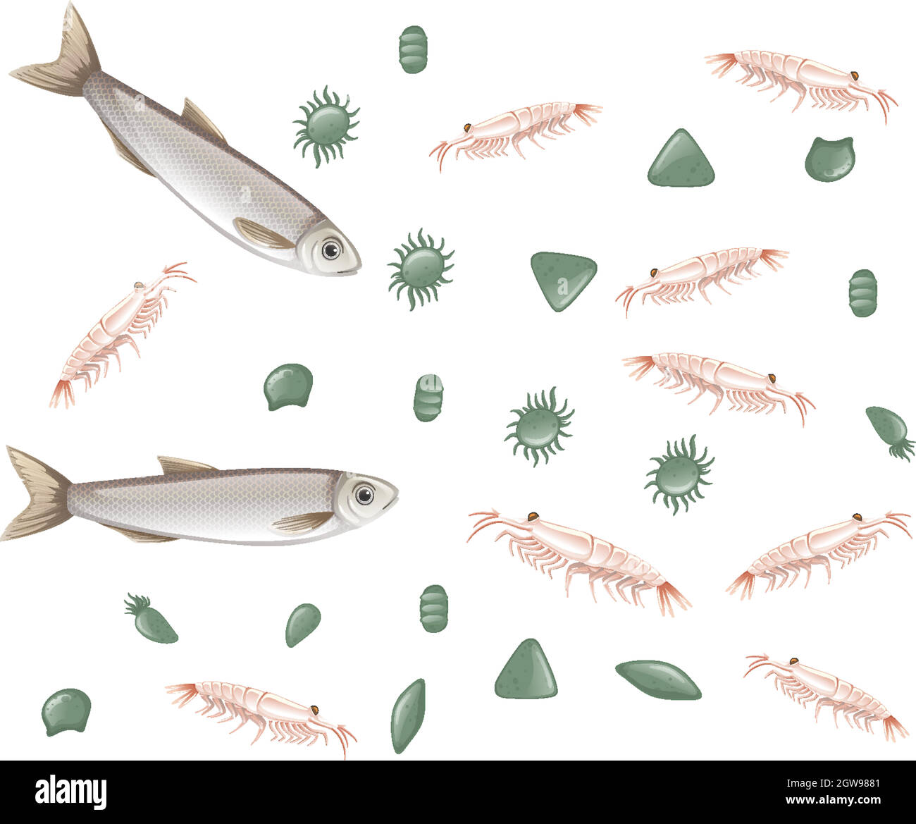 Drawing fish food on Cut Out Stock Images & Pictures - Alamy