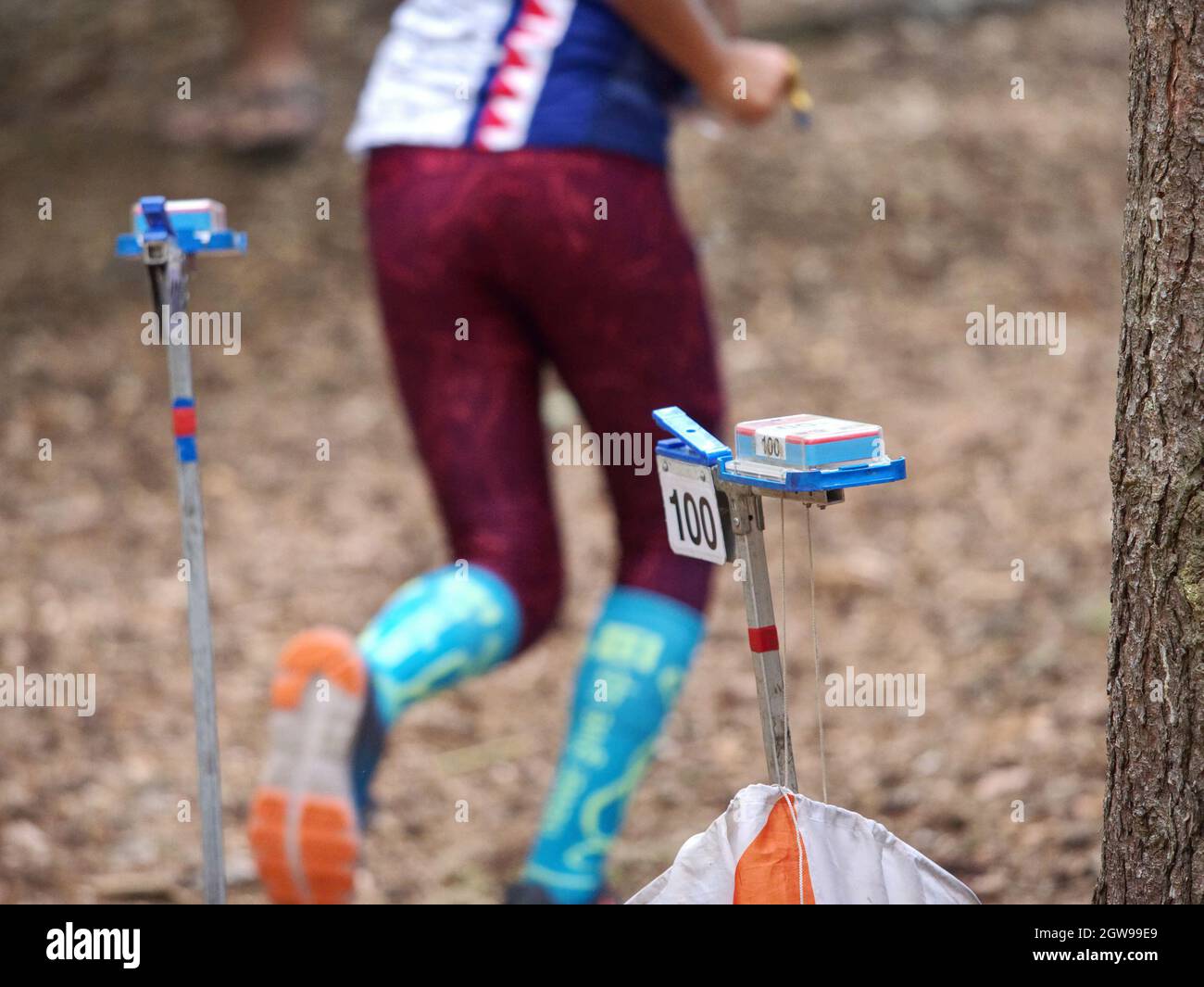 Orienteering prism hi-res stock photography and images - Alamy
