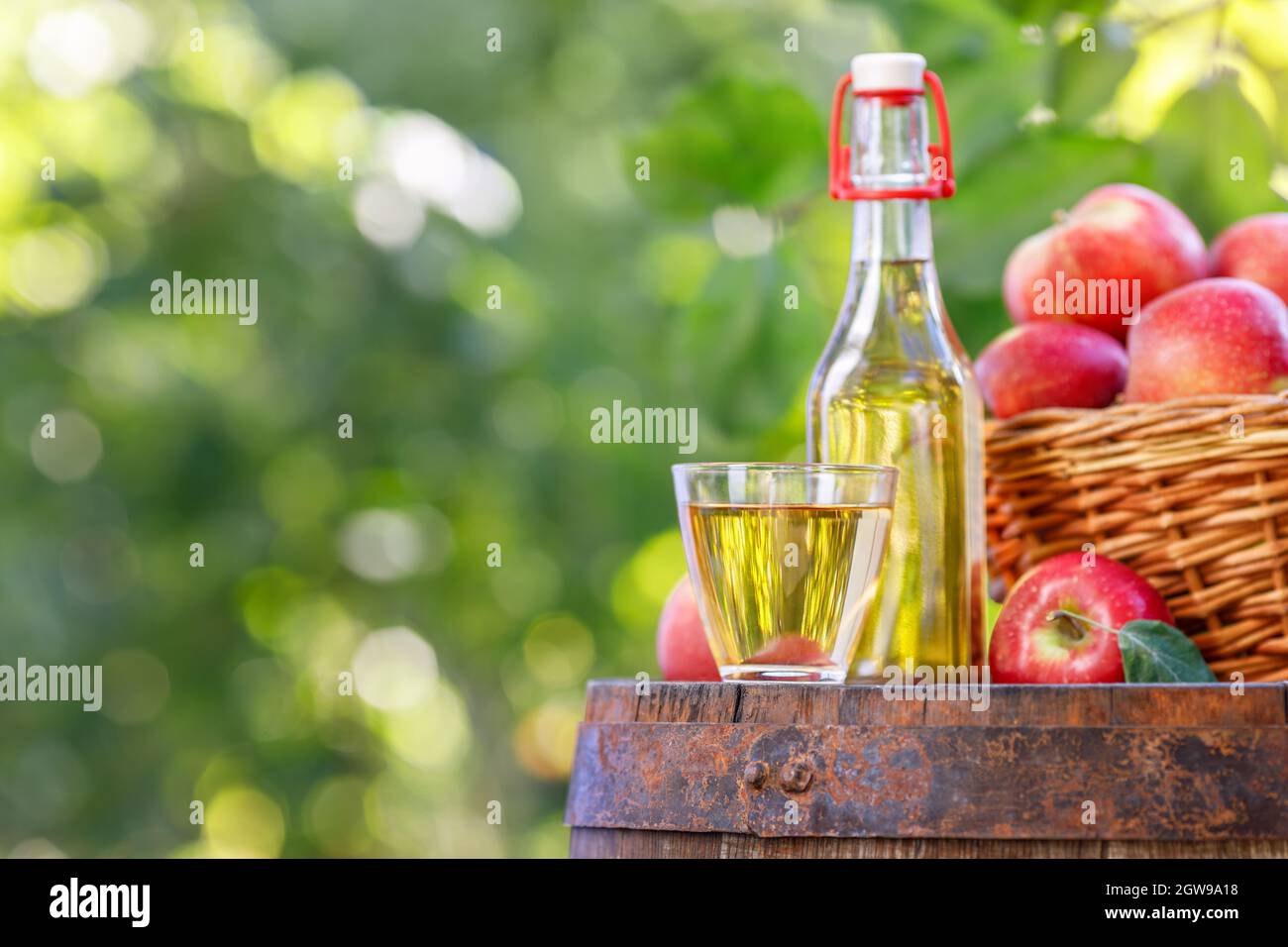 Transparent top hi-res stock photography and images - Alamy