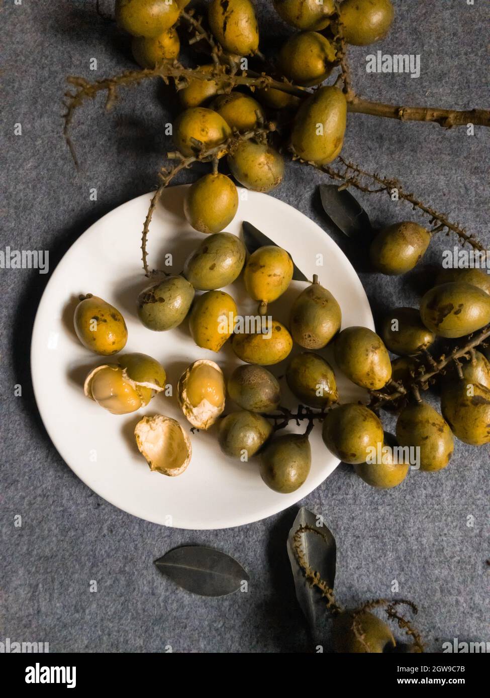 Pometia hi-res stock photography and images - Alamy