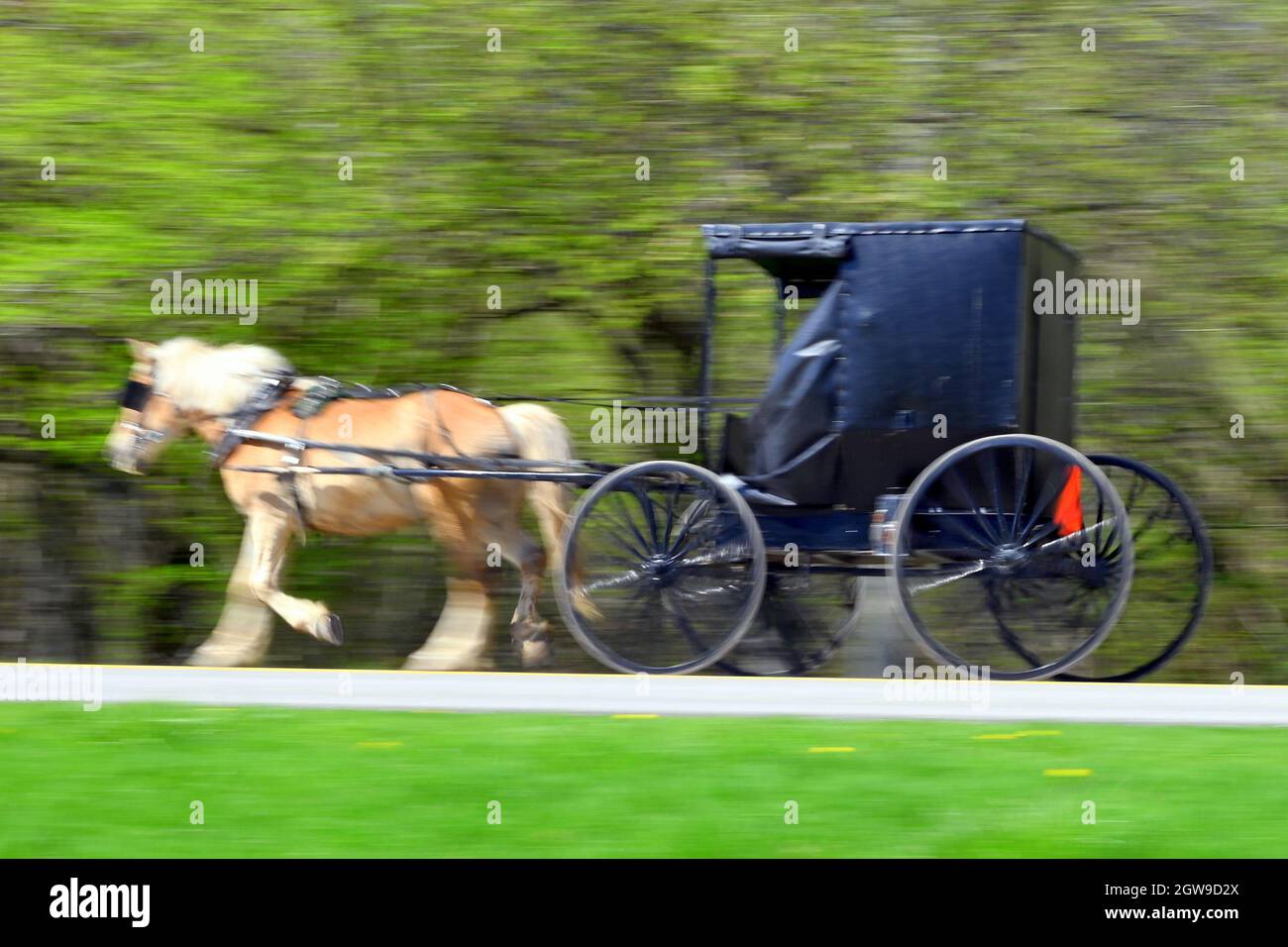 AMISH FAMILY HORSE AND CARRIAGE IN MOTION IN ASHTABULA COUNTY, OHIO ...