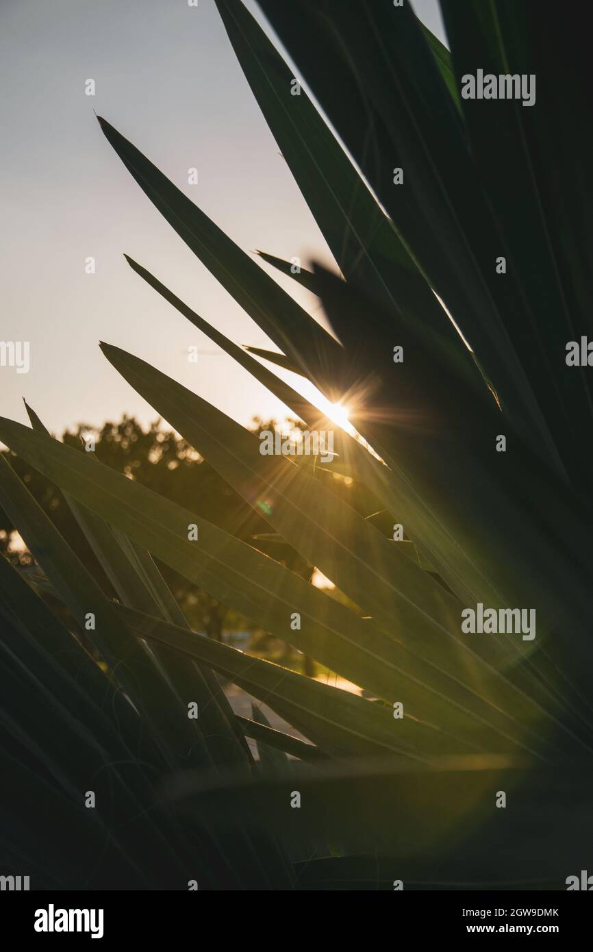 Bright sunlight streaming through window hi-res stock photography and ...