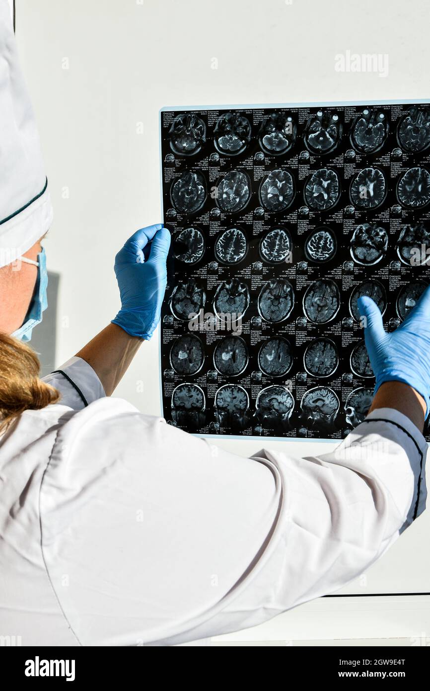 Hand holding human brain in hi-res stock photography and images - Alamy