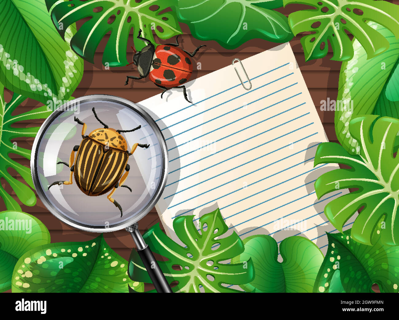 Magnifying glass blank paper Stock Vector Images - Alamy