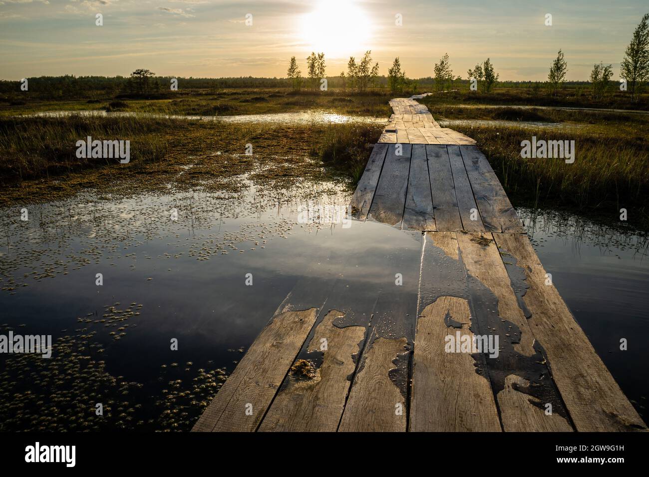 Flooded walkways hi-res stock photography and images - Alamy