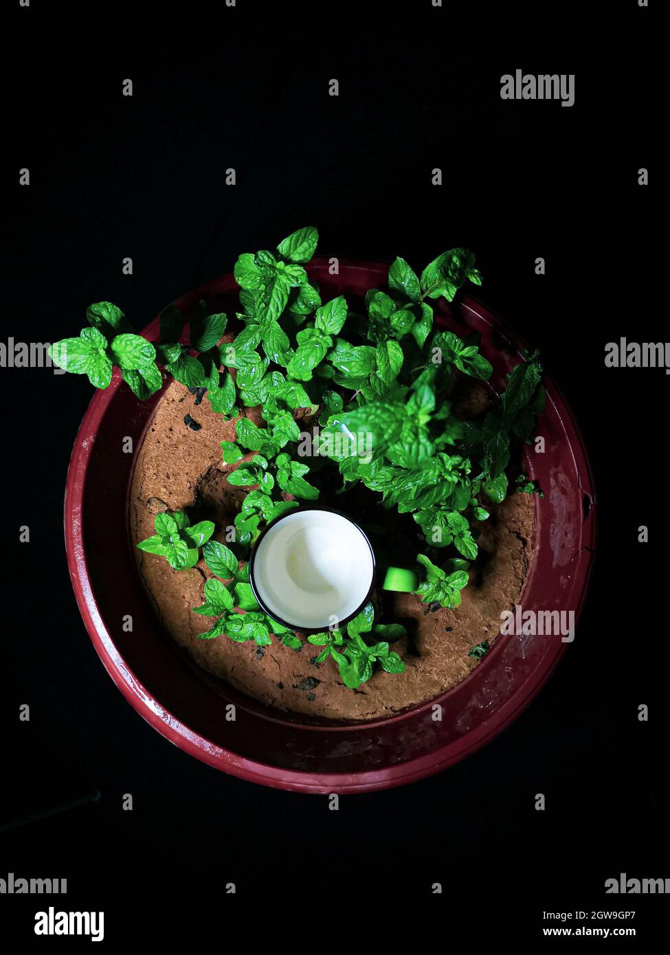 Dried basin hi-res stock photography and images - Alamy