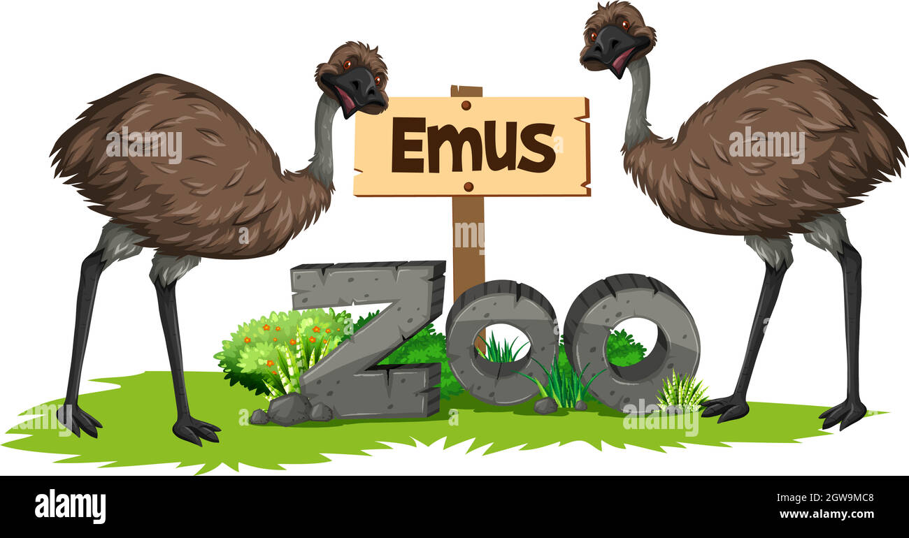 Two emus in the zoo Stock Vector Image & Art - Alamy