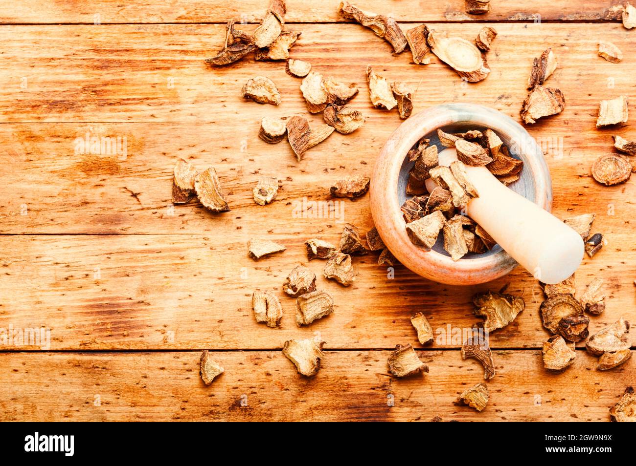 Medicinal root of elecampane in herbal medicine.Inula helenium.Medical ...