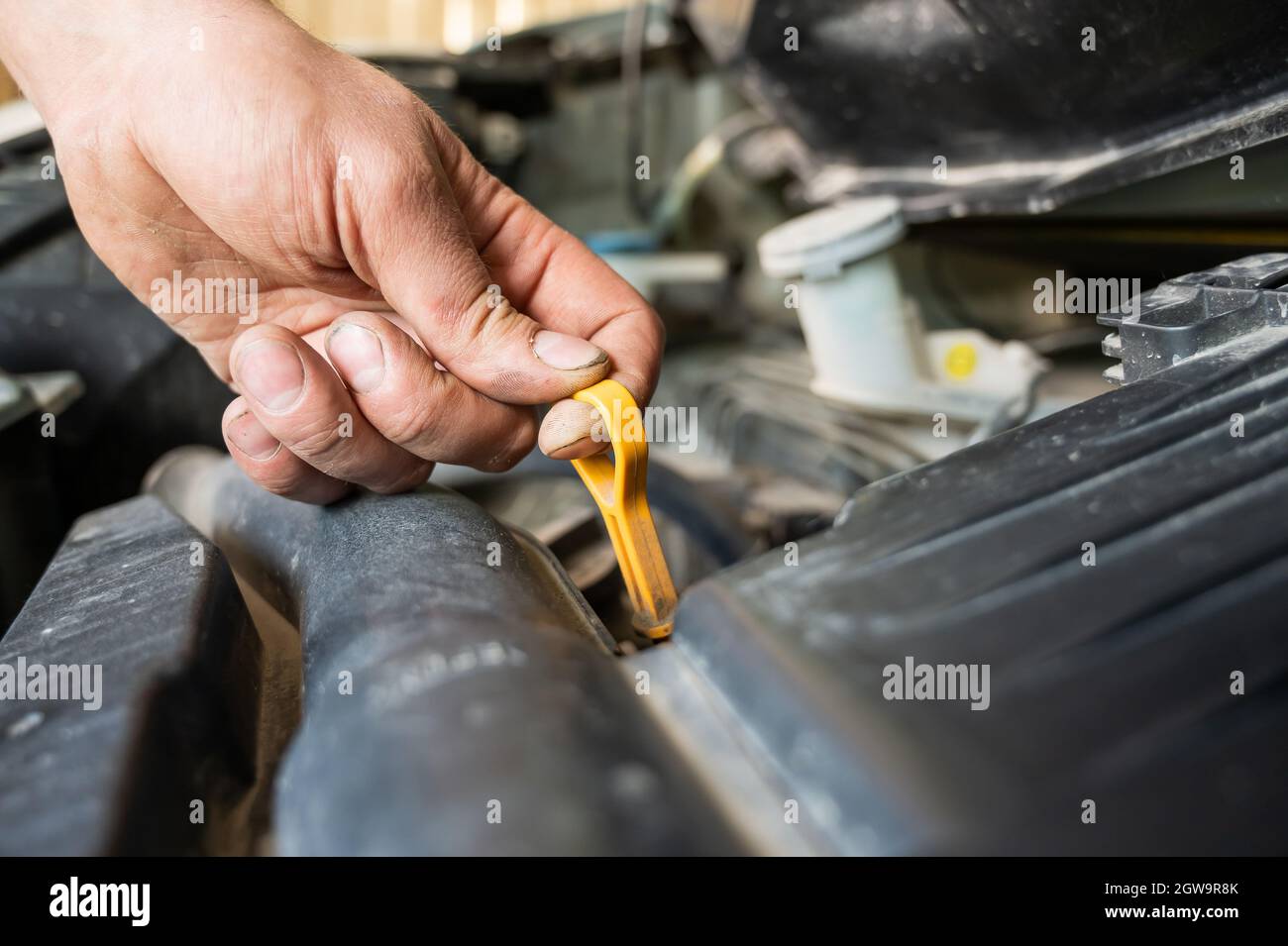 An auto mechanic pulls out a dipstick to check the oil level in a car engine Stock Photo - Alamy