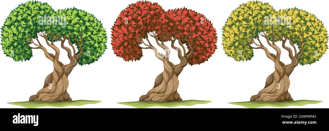 Set leaves in different hi-res stock photography and images - Alamy