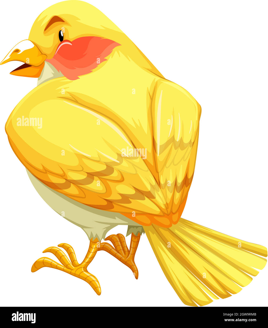 Baby bird up close Stock Vector Images - Alamy