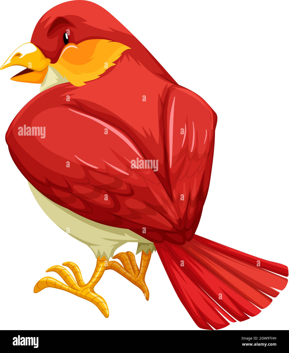 Bird close up background Stock Vector Images - Alamy