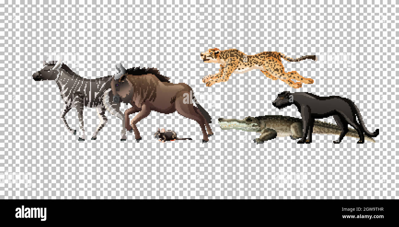 Group of wild african animal on transparent background Stock Vector ...
