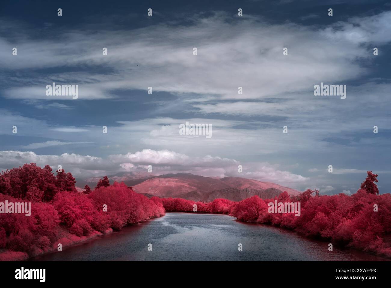 Multi image nature hi-res stock photography and images - Alamy