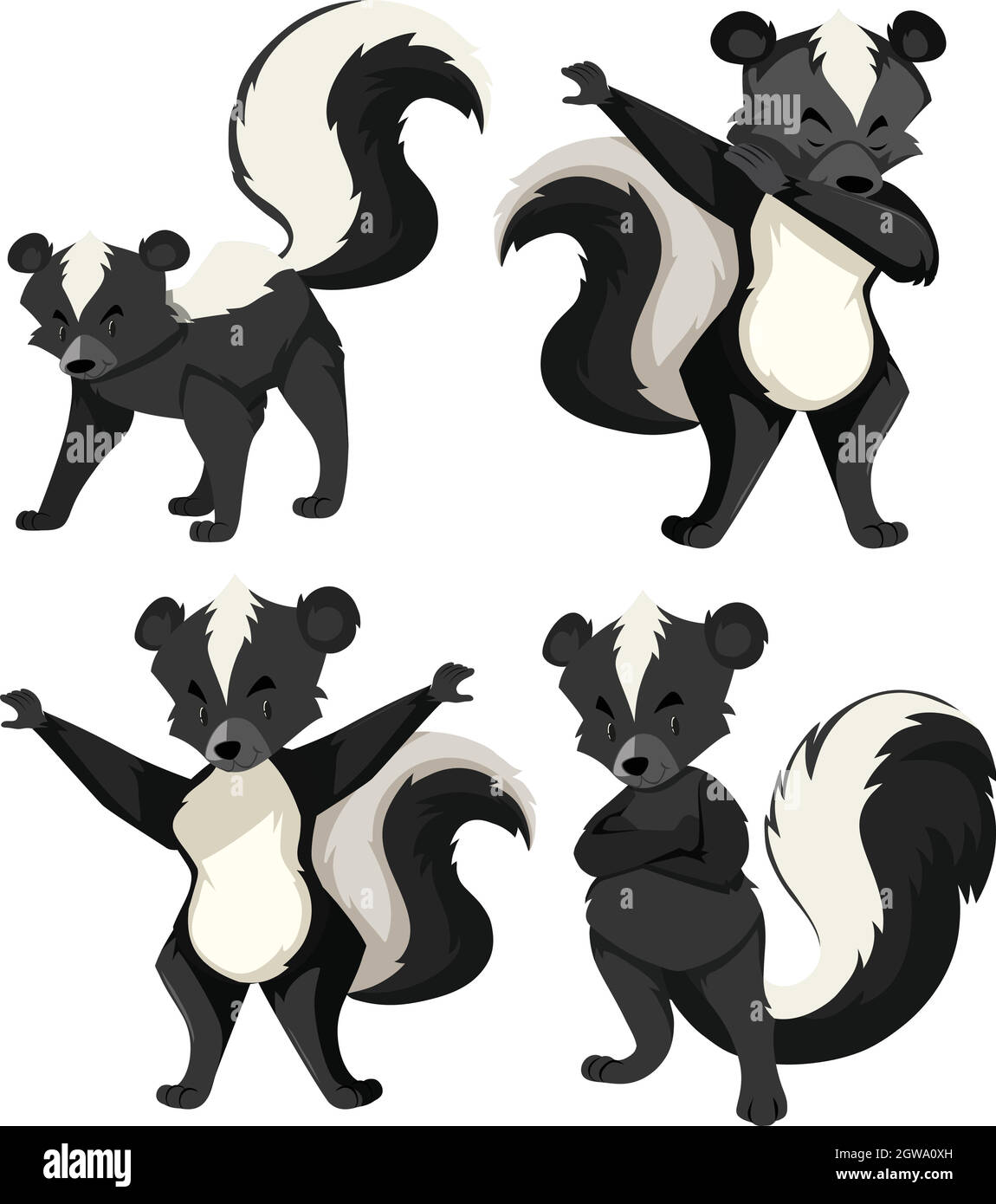 A set of skunk Stock Vector Image & Art - Alamy