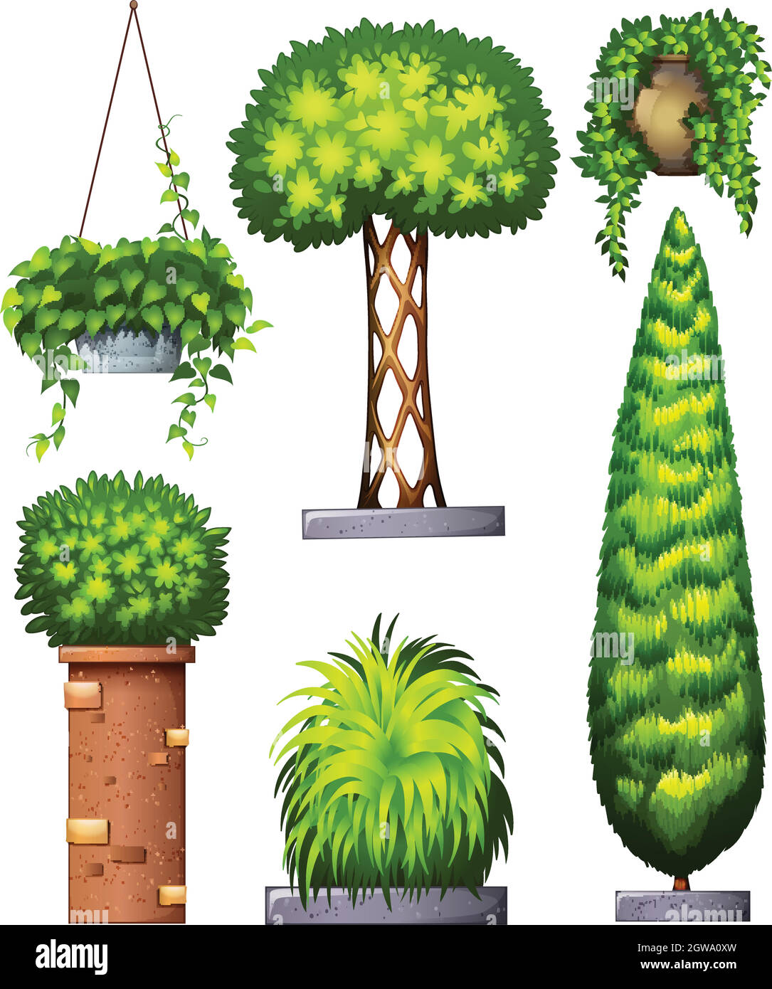 Tropical plants landscaping Stock Vector Images - Alamy