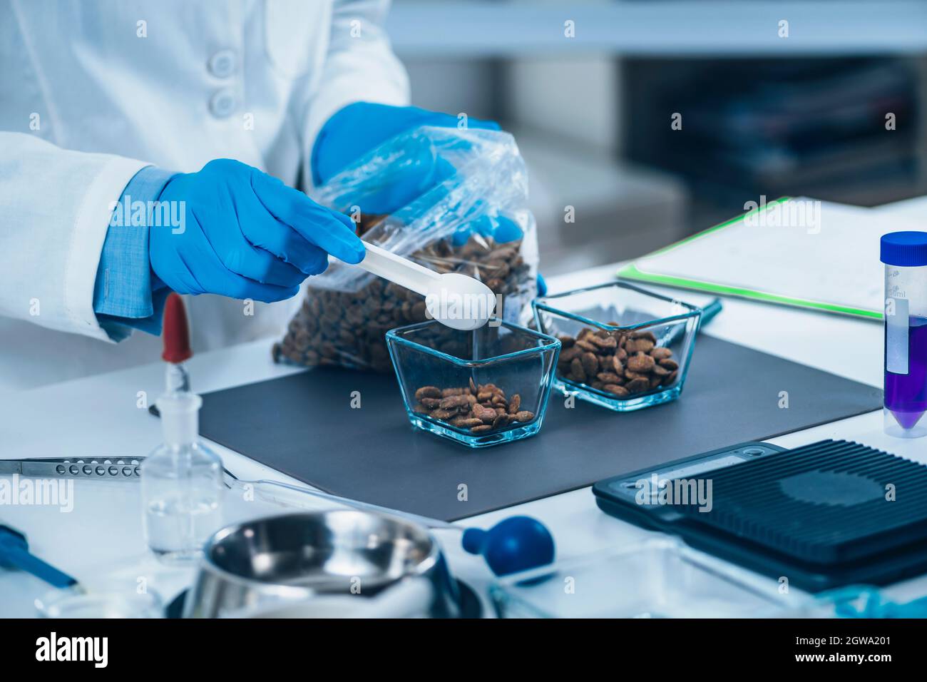 What Is Dog Food Testing