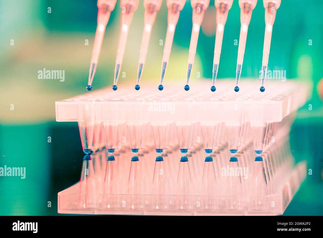 Pipette and test tubes in a microbiological laboratory Stock Photo - Alamy