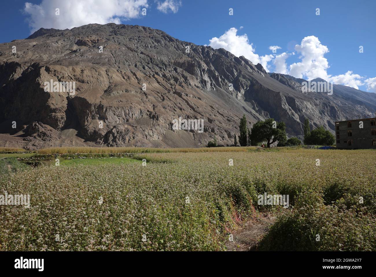 Siachen border hi-res stock photography and images - Alamy