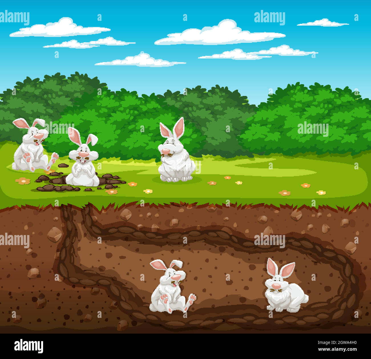 Animals that live underground hi-res stock photography and images - Alamy