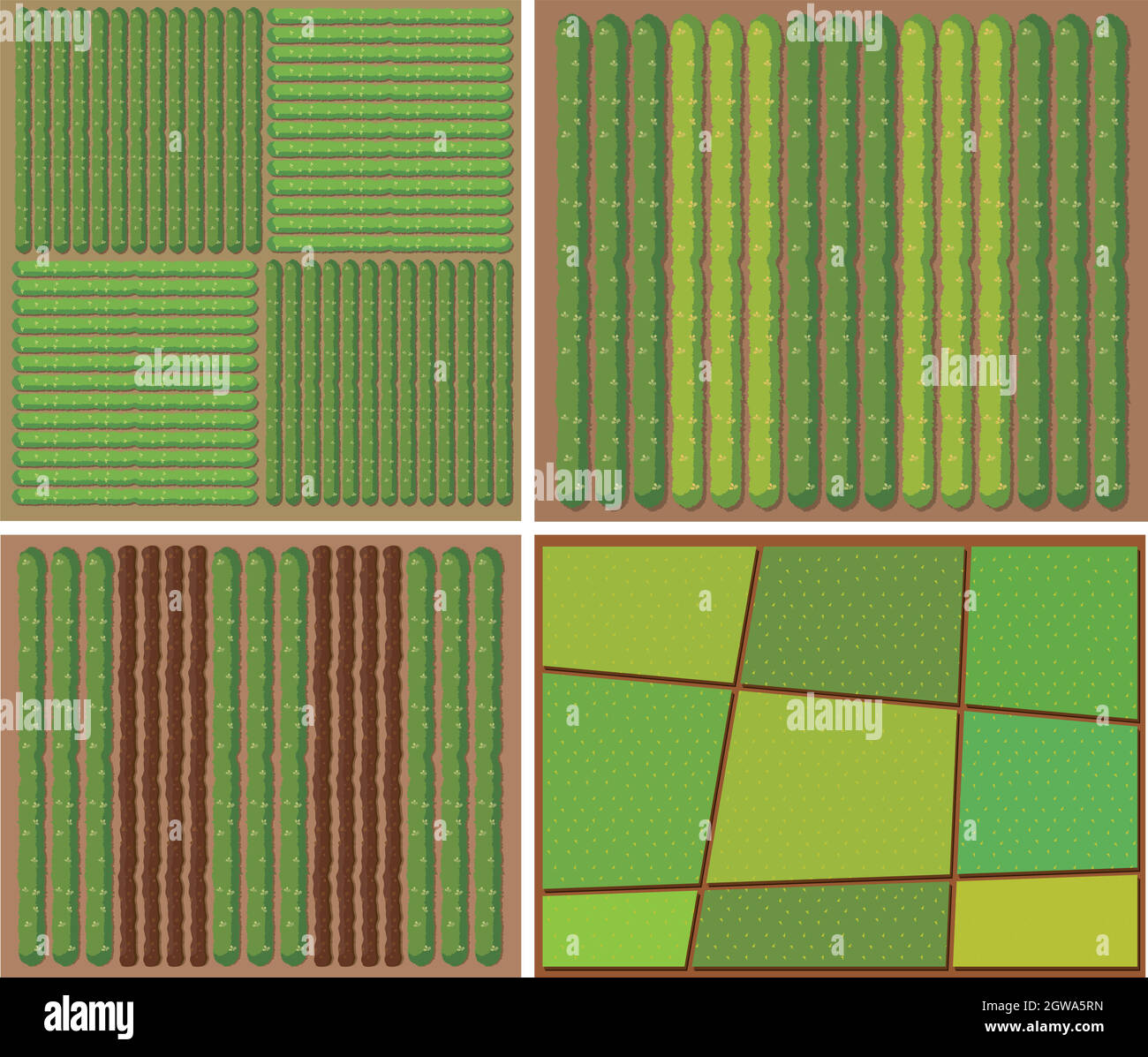 Crops agriculture Stock Vector Images - Alamy