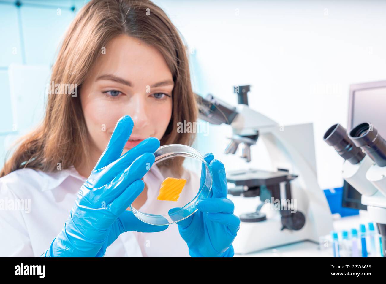 Inspection of meat and fish quality in the food quality laboratory ...