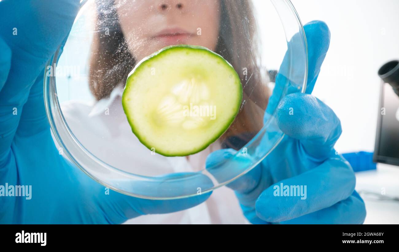 Inspection of the quality of vegetables and fruits in the laboratory of ...