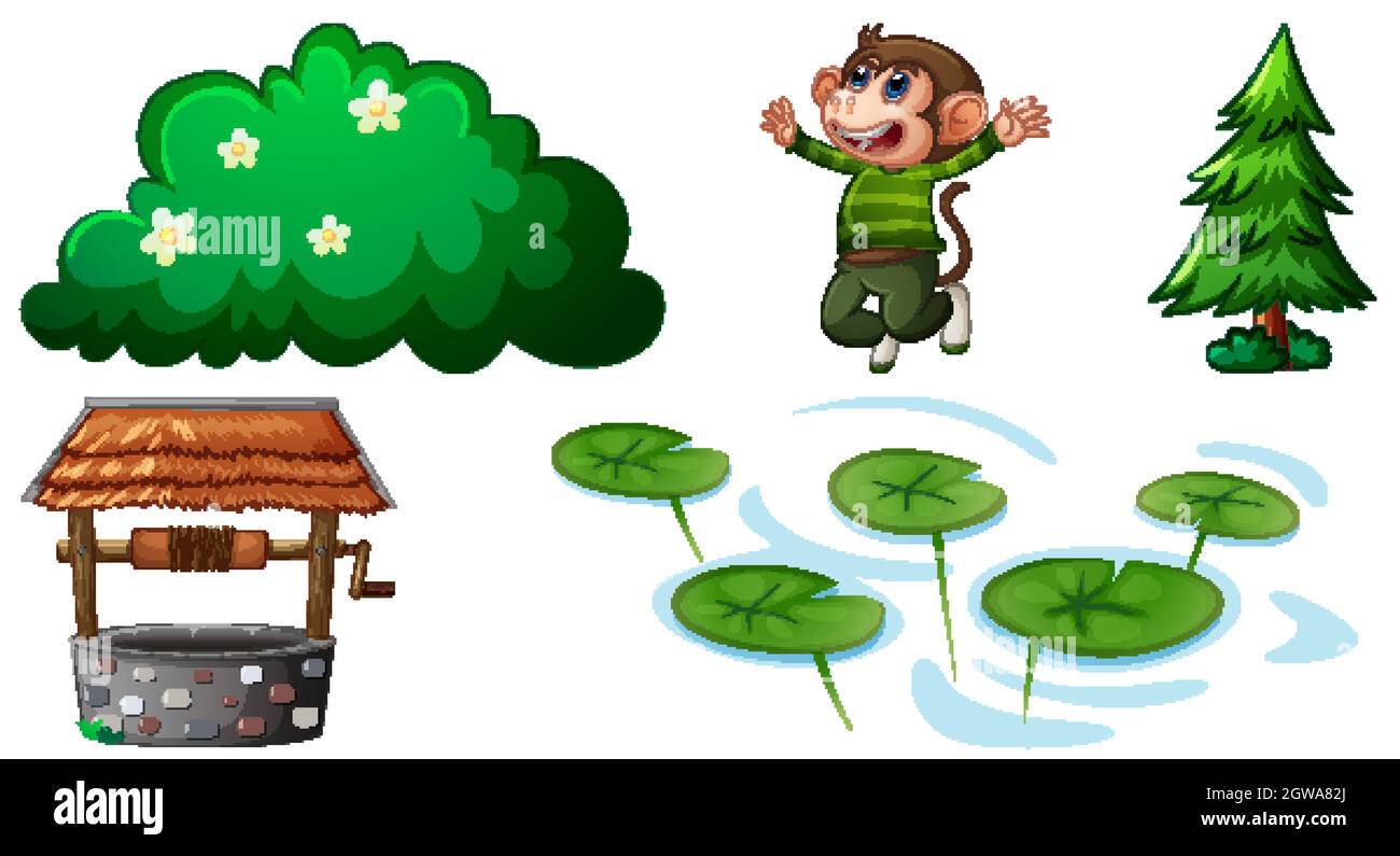 Nature objects hi-res stock photography and images - Alamy