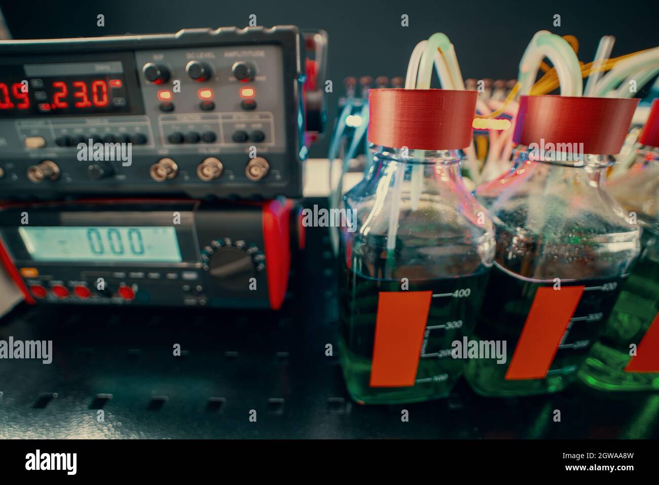 Experimental setup for enzymatic synthesis by genetically modified ...