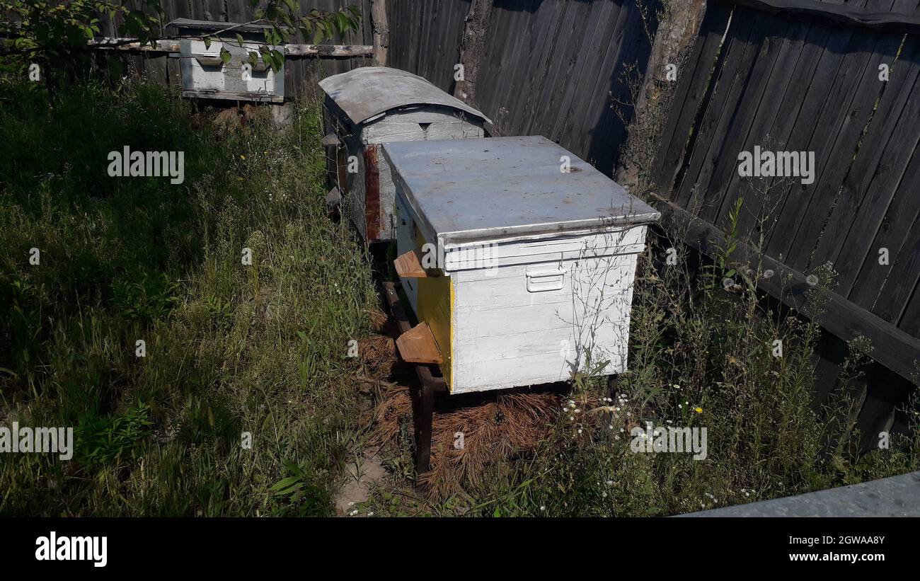 Bee hives on farm hi-res stock photography and images - Alamy
